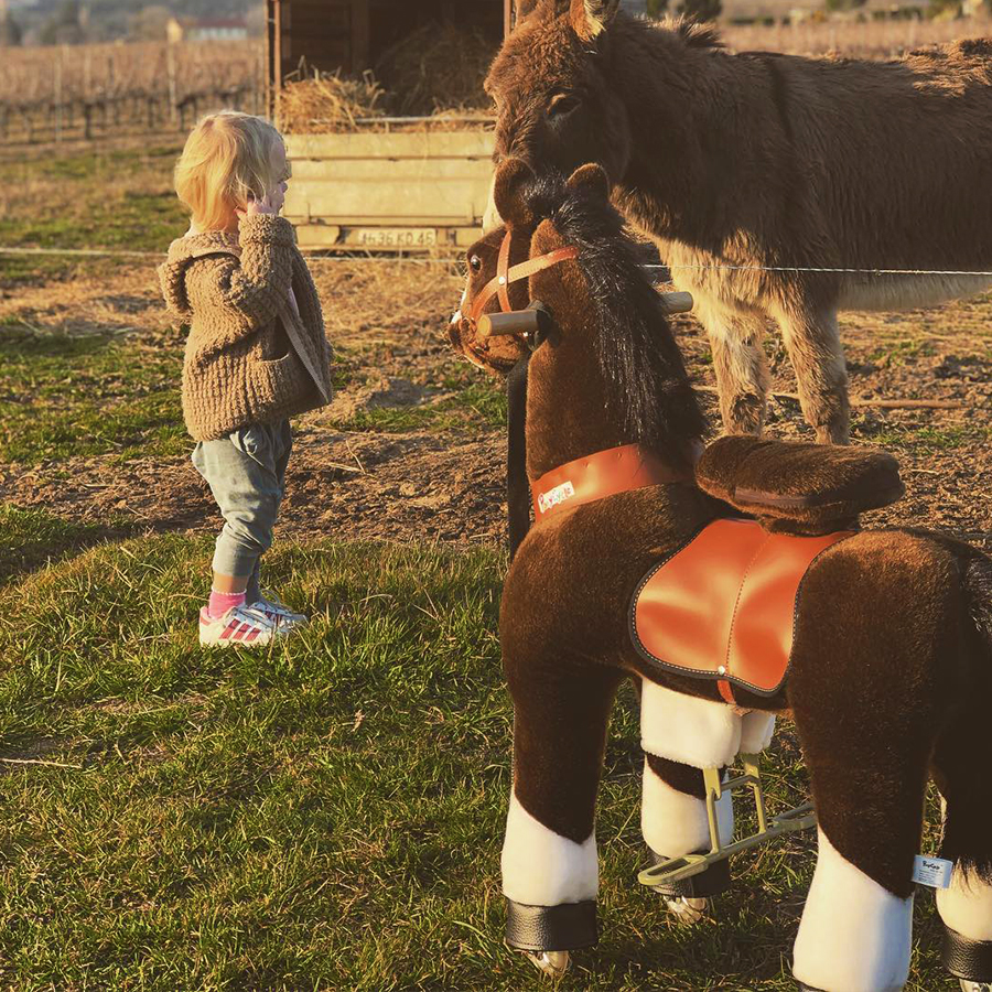 PonyCycle:Rides like a REAL pony!